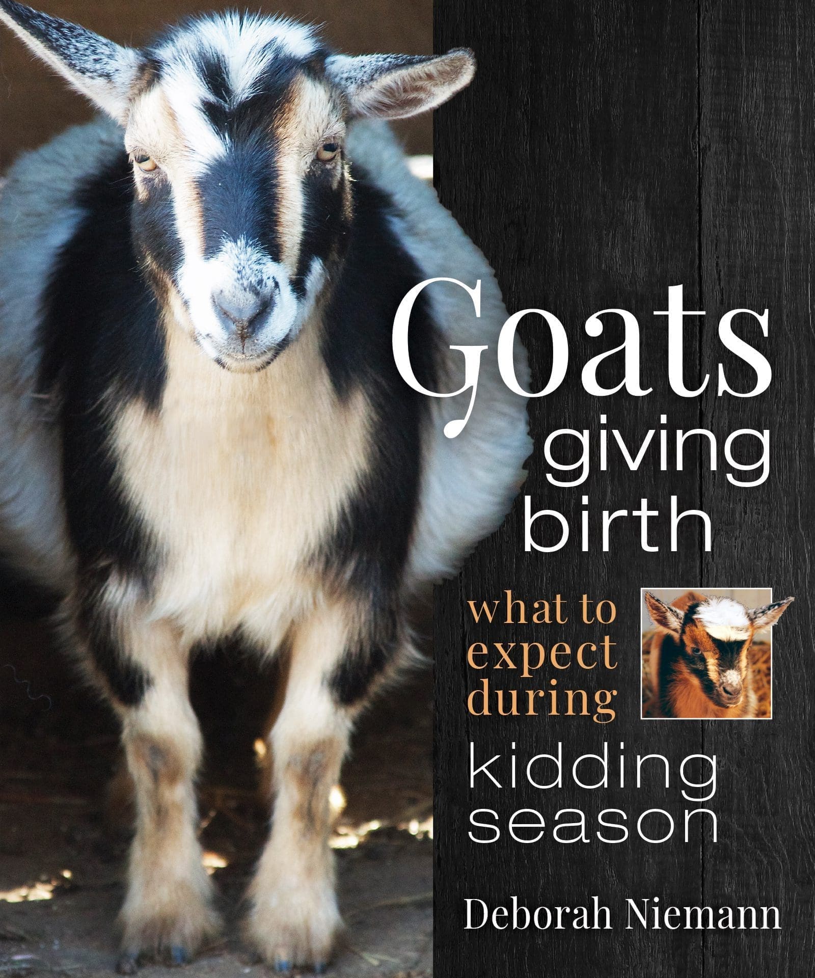 Goats Giving Birth | New Society Publishers